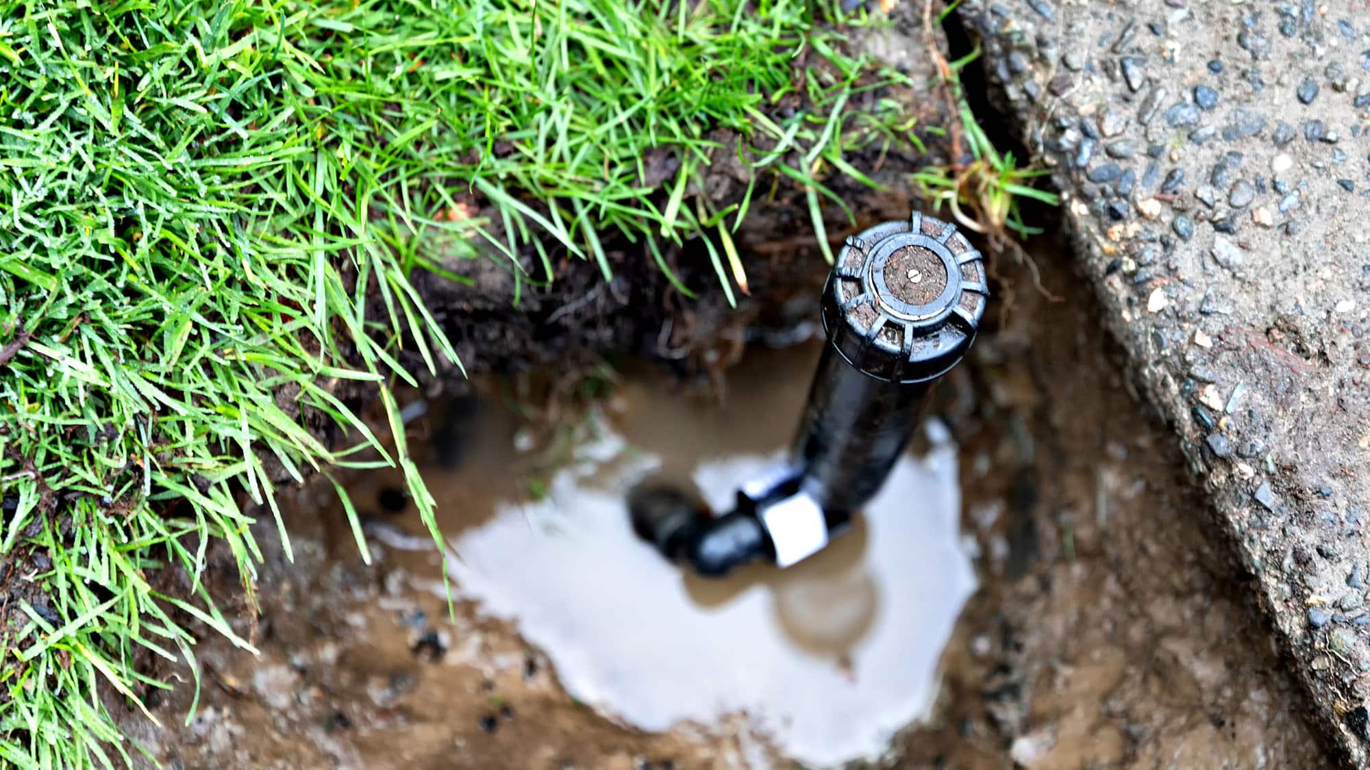 Spring Adjustment / Performance Inspection